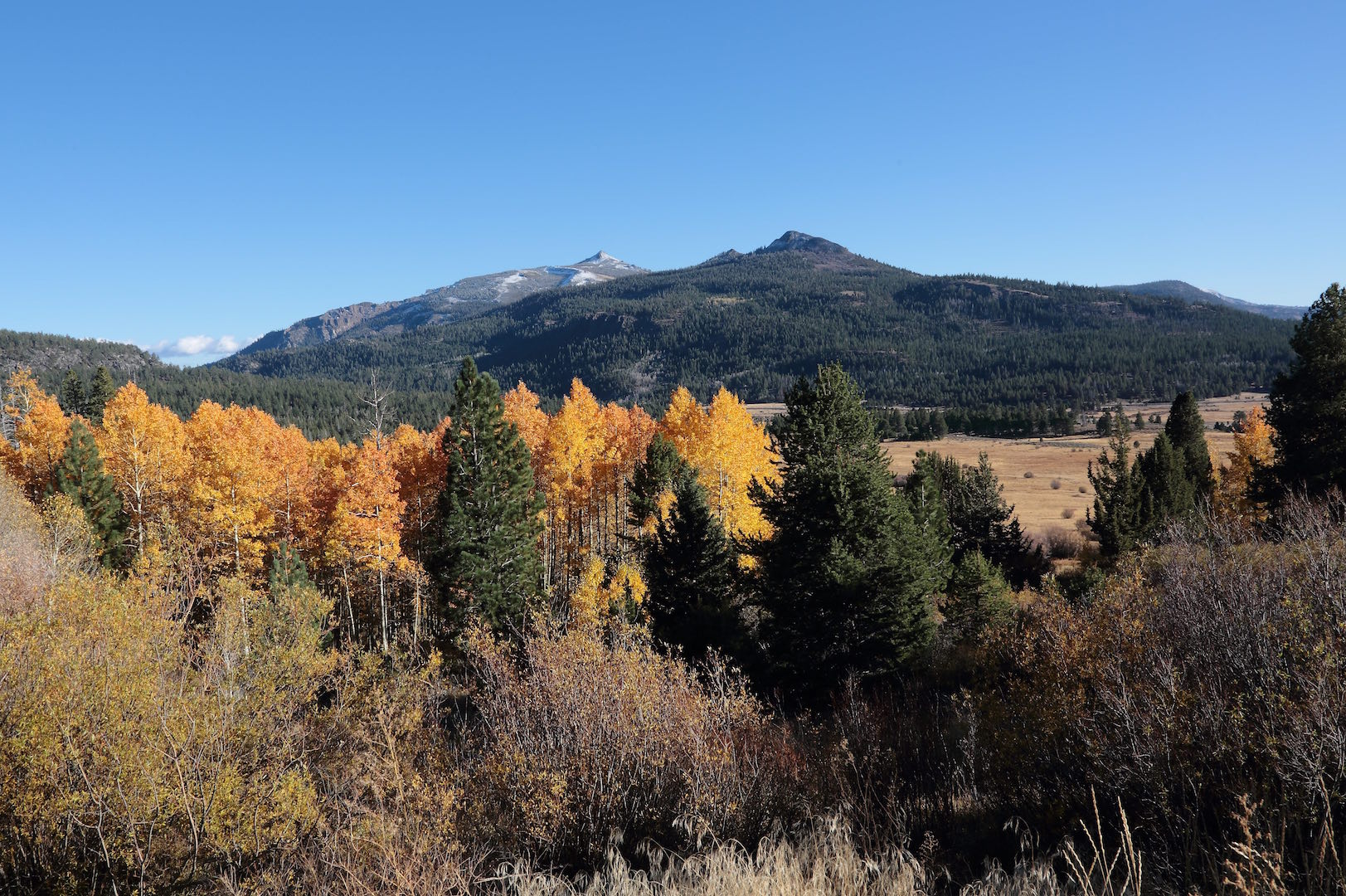 Saying Goodbye to This Season’s Fall Color | I Love The Eastern Sierra